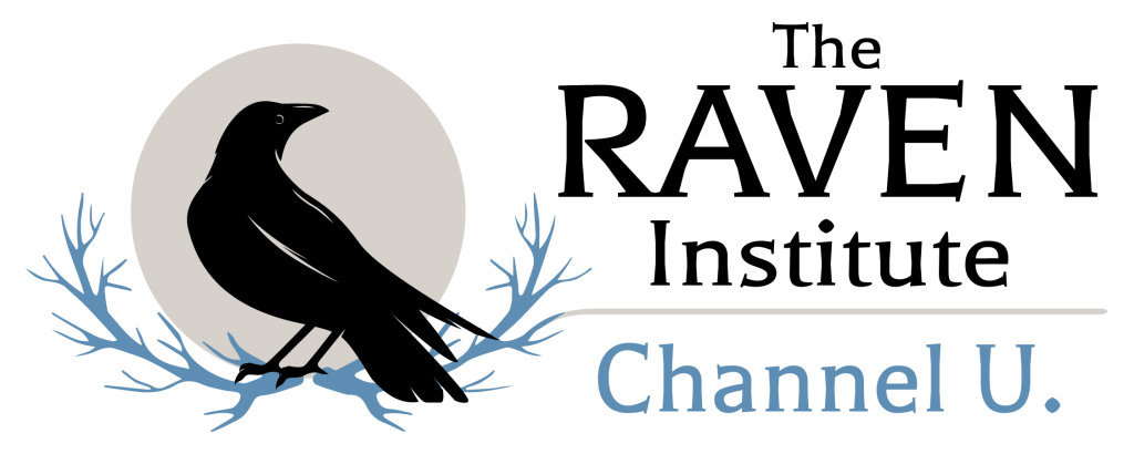 THE HUB to The Raven Institute